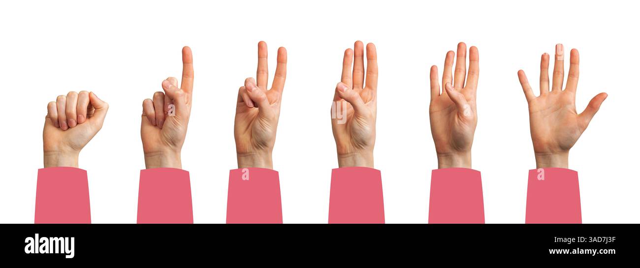 Hand showing counting gesture. Female palm and fingers displaying one, two, three, four, five ...
