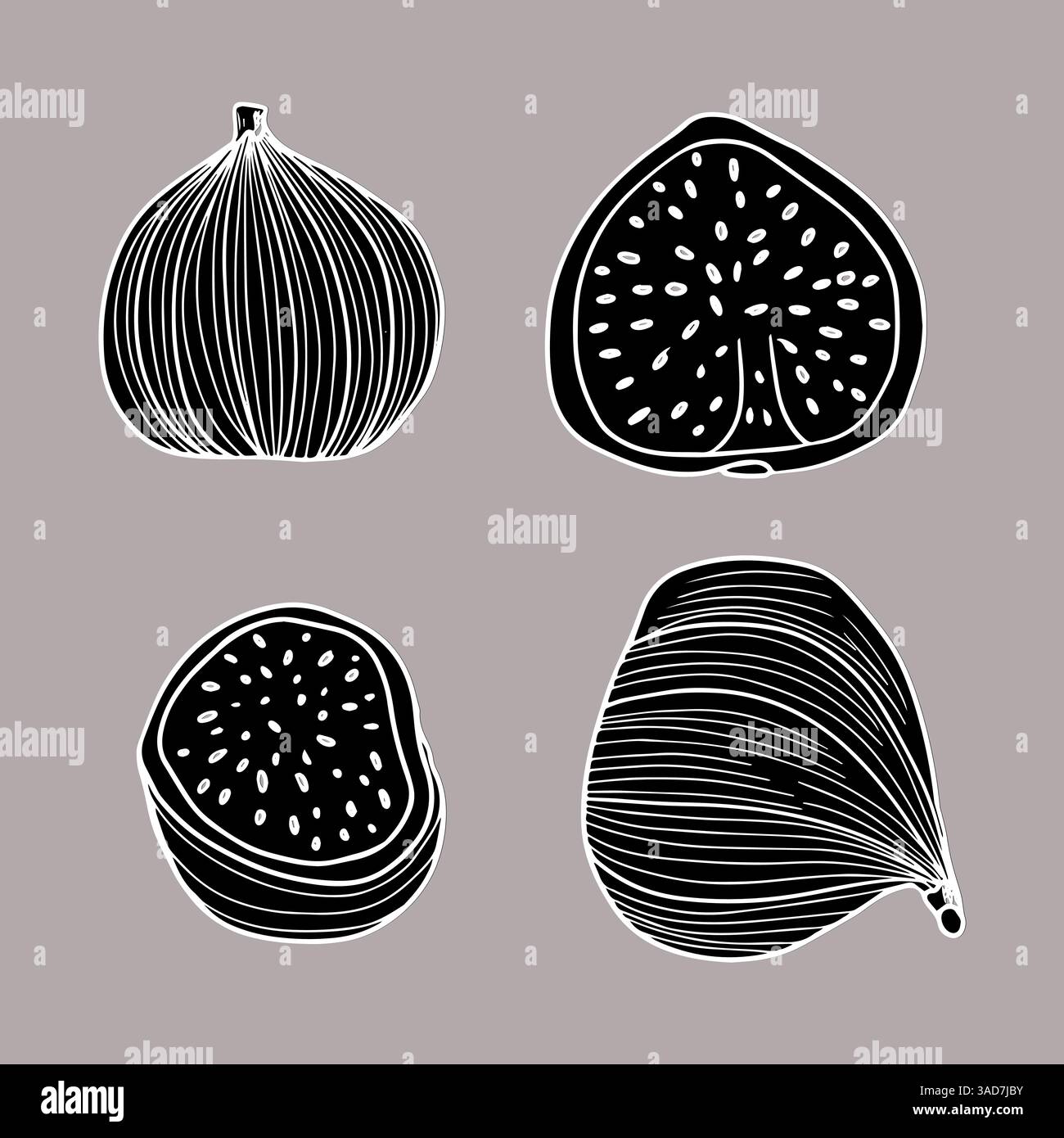 Set of isolated figs, linocut, line art Stock Vector Image & Art - Alamy