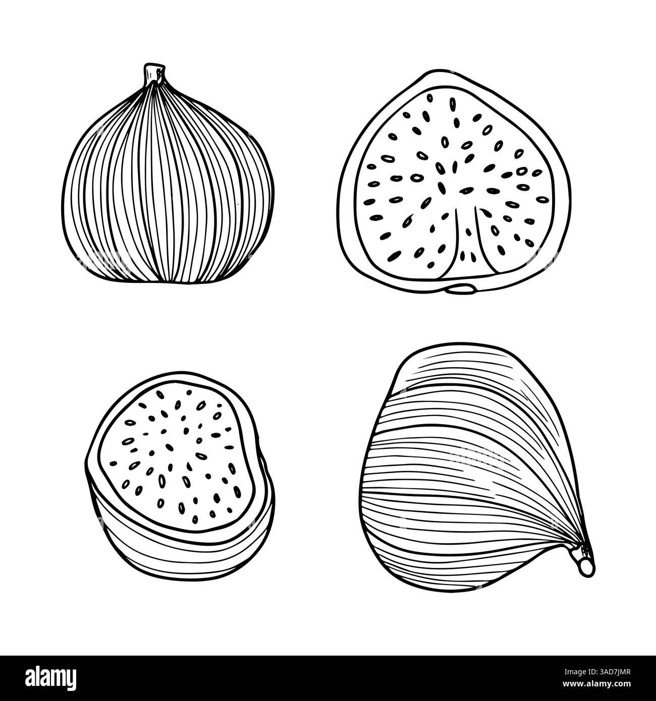 Figs Stock Vector Images - Alamy