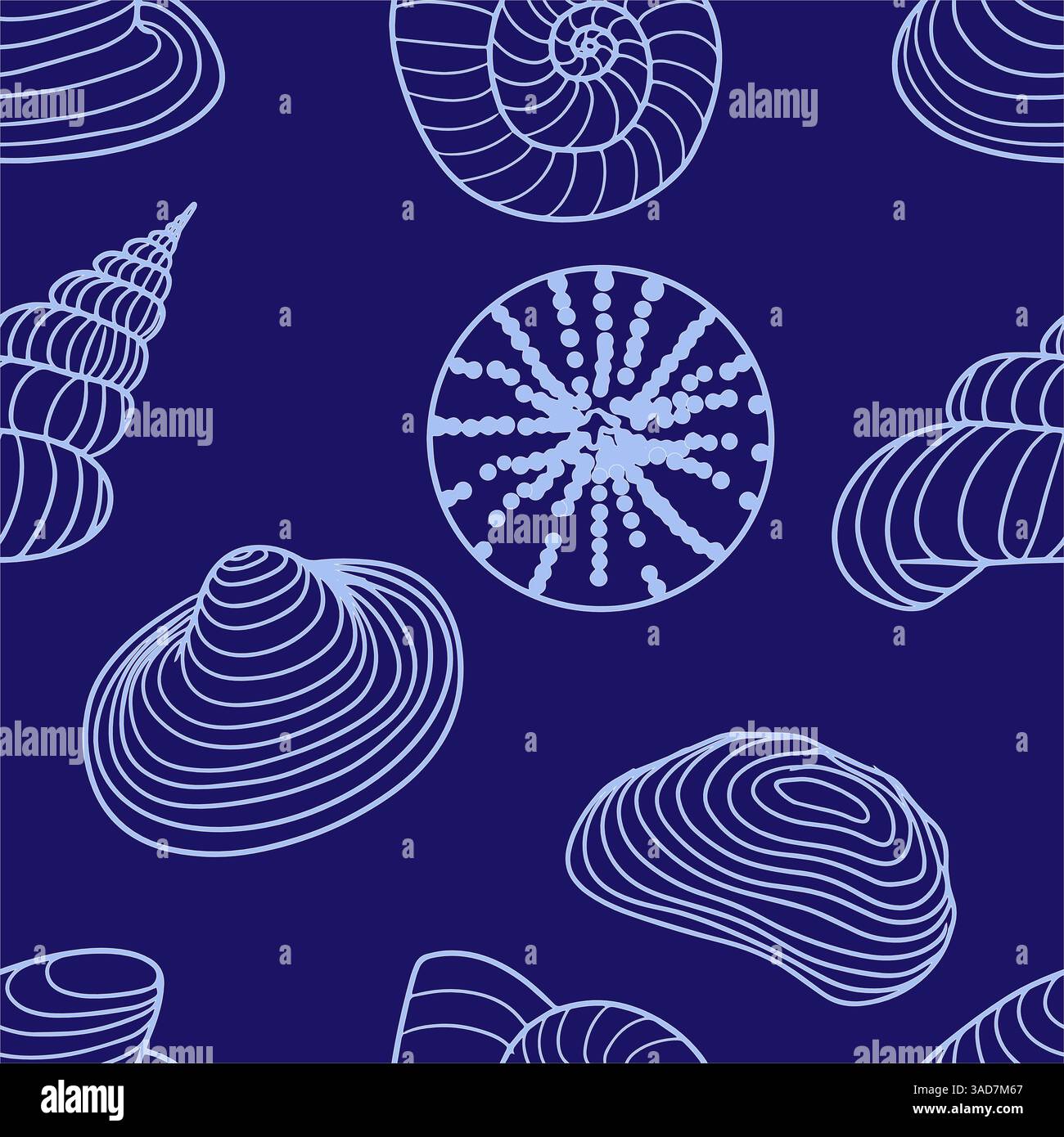 Seamless pattern with line seashells isolated, sketch. Pattern with ...