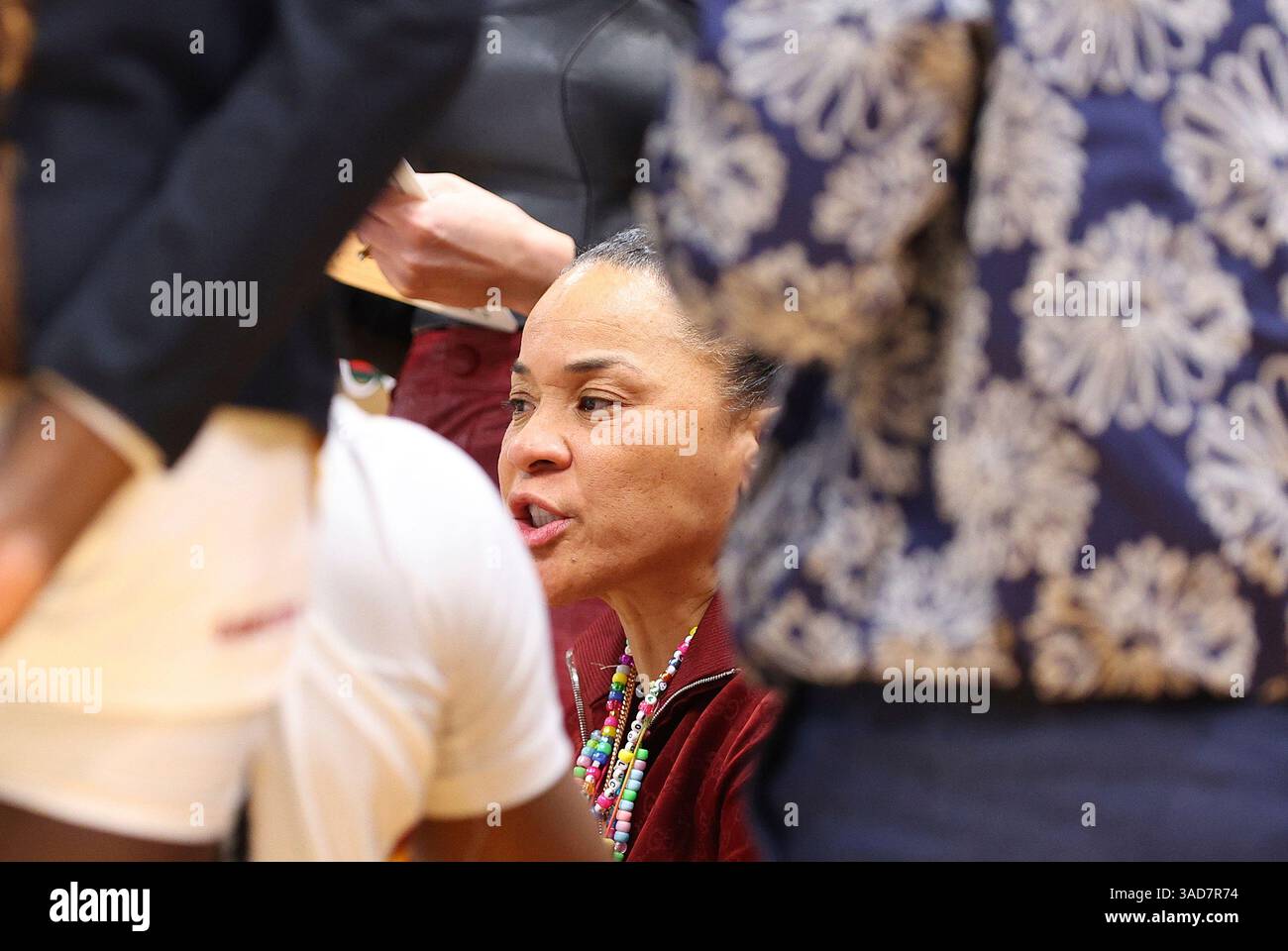 TAMPA, FL - APRIL 04: South Carolina Gamecocks head coach Dawn Staley ...