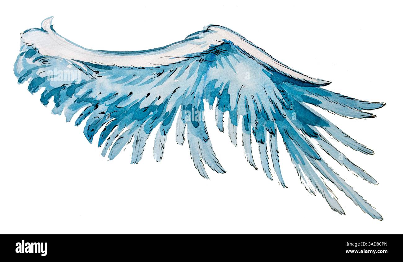 Watercolor hand painted wing. Artistic png painting isolated on a white ...
