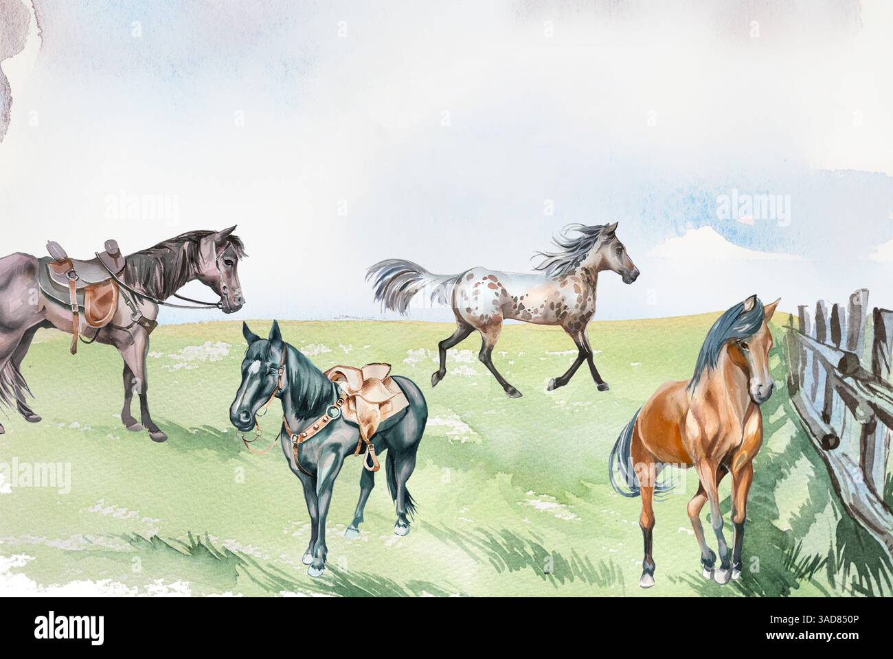 Horse on a field landscape watercolotr painting. Horse ride concept ...