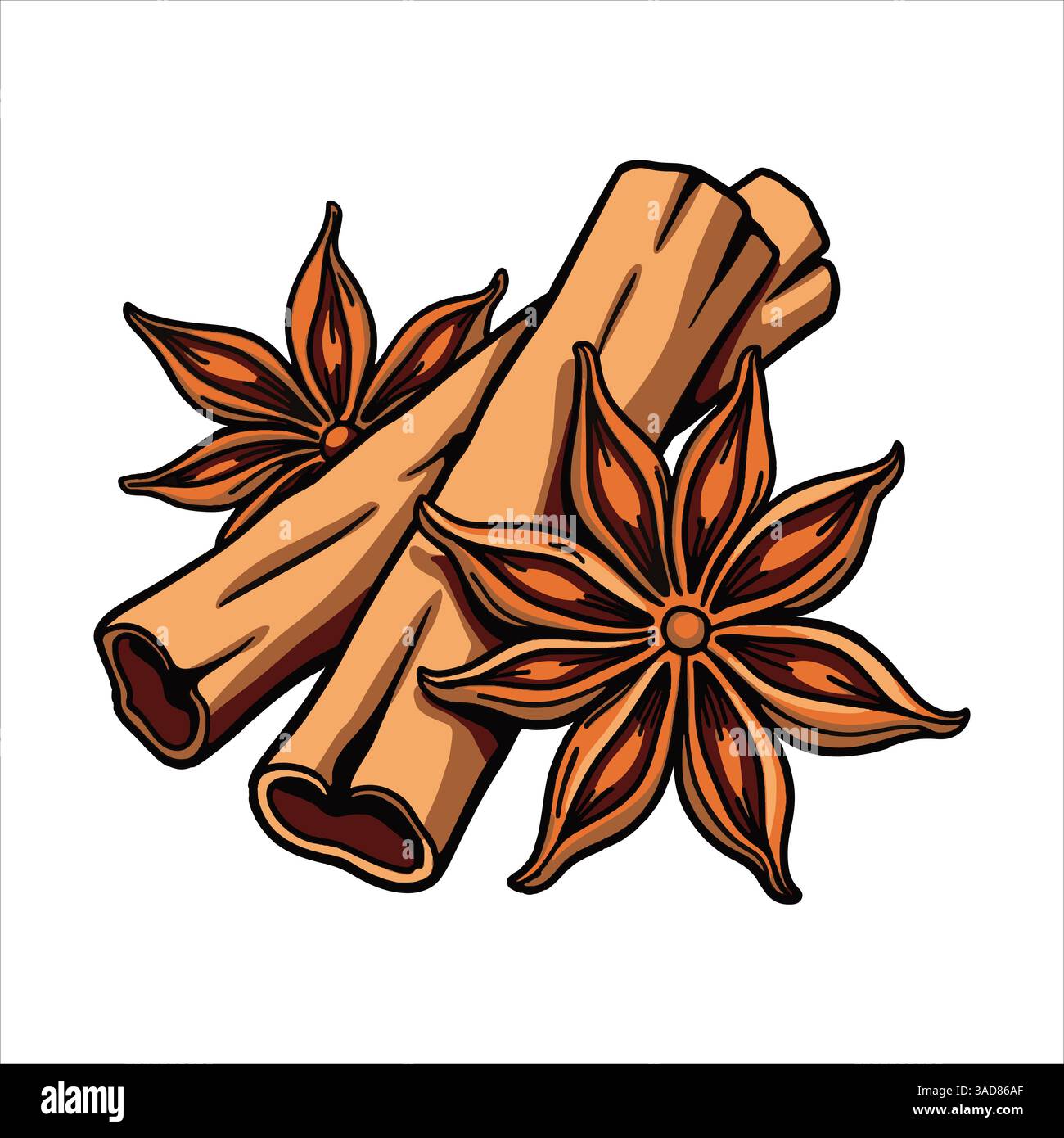 Set of spices with a cinnamon stick and brown anise flower. Doodle ...