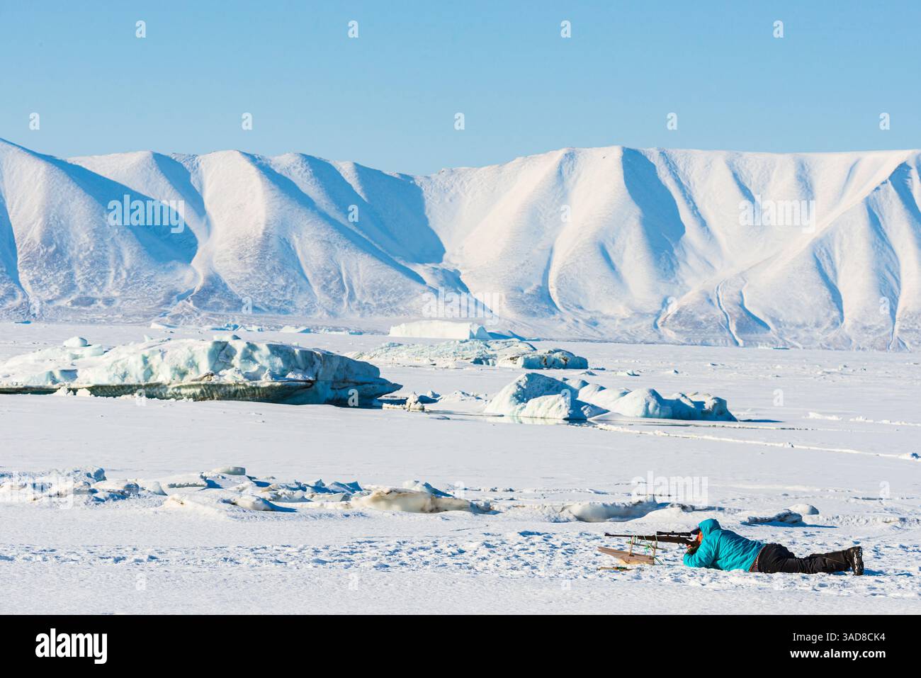 An Inuit person lies prone on the snow while aiming a rifle at a seal ...