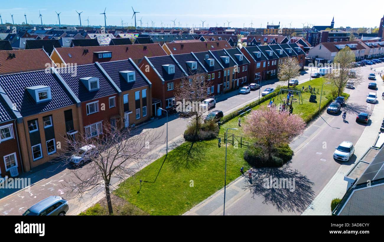 Newly built family houses in a Dutch suburban area showcase modern ...