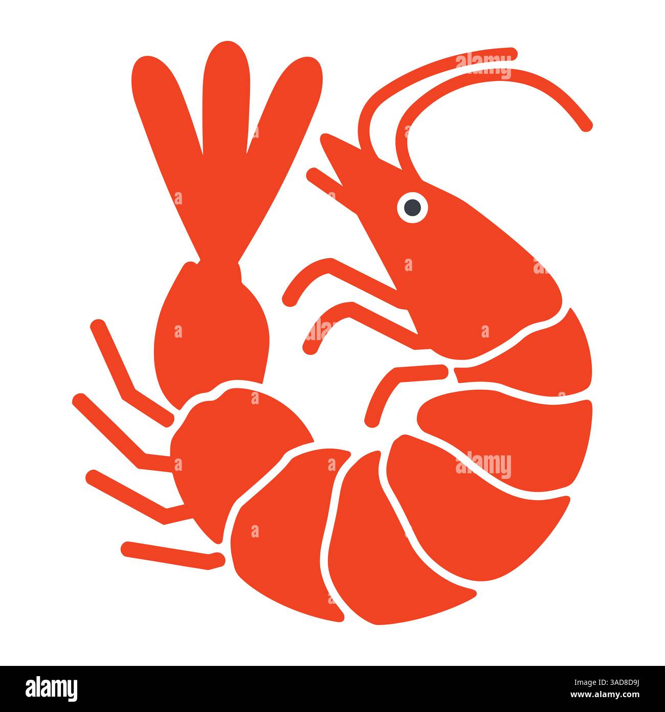 Shrimp vector illustration. Peeled shrimp meat, fresh prawn. Healthy ...