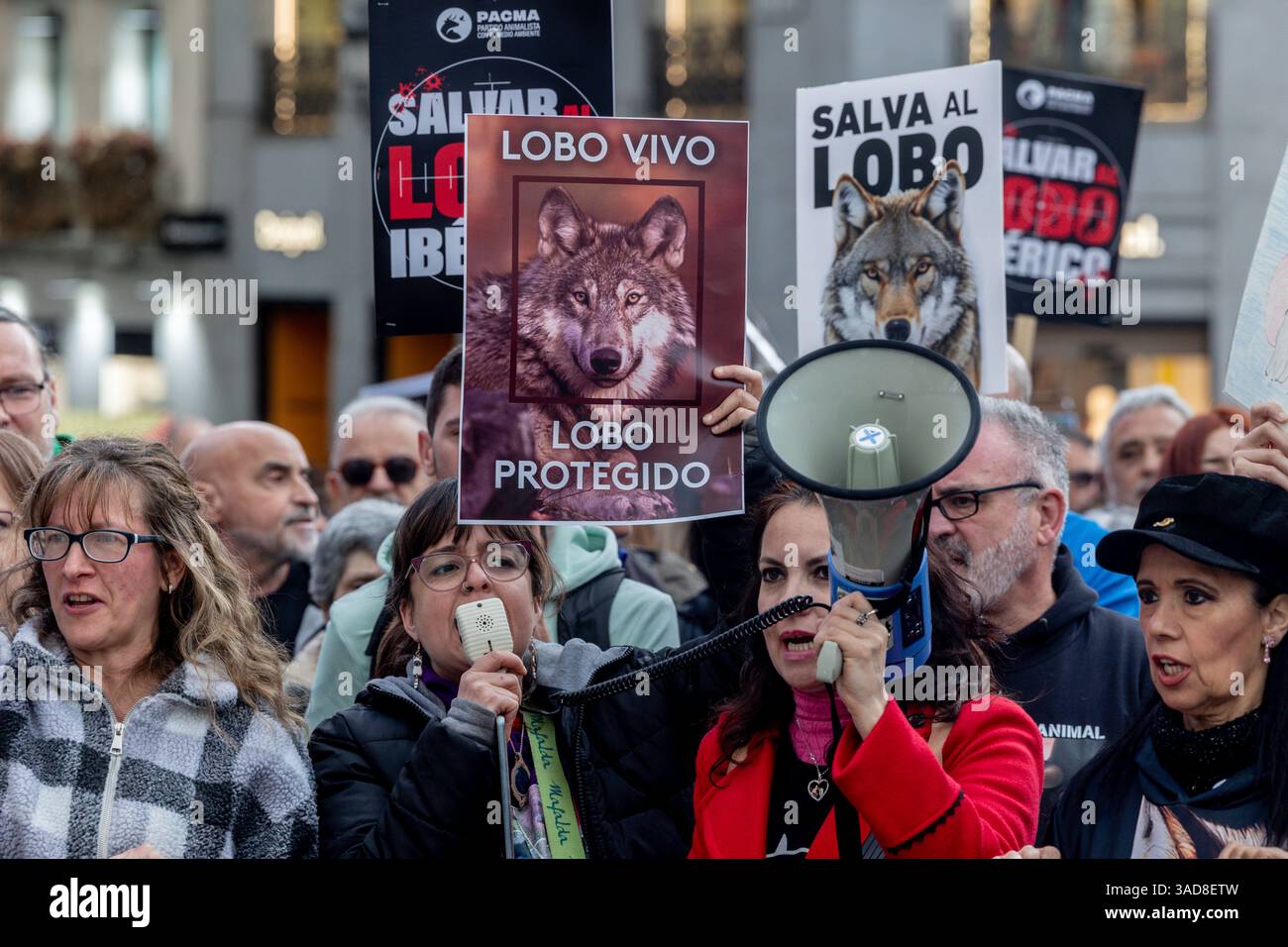 Dozens of people during the rally 'Save the Iberian wolf', in the Plaza ...