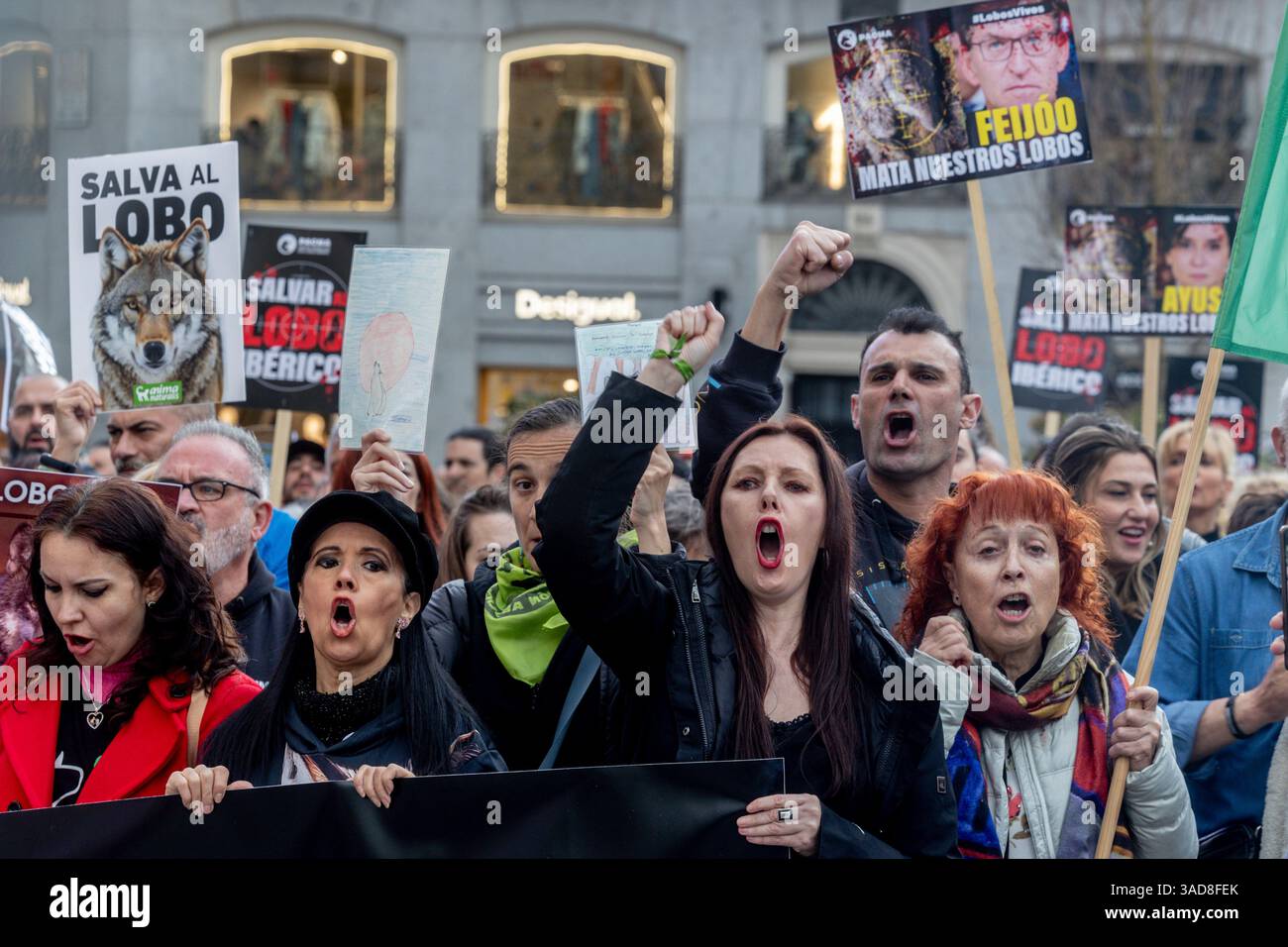 Dozens of people during the rally 'Save the Iberian wolf', in the Plaza ...