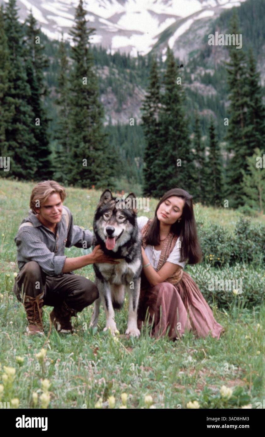 White fang disney hi-res stock photography and images - Alamy