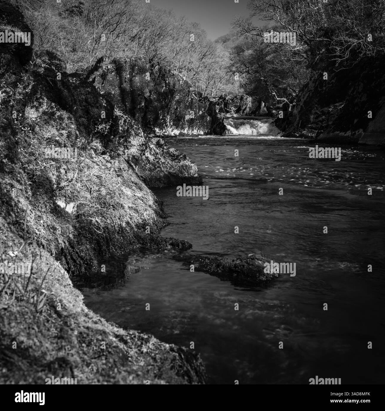 Cenarth falls hi-res stock photography and images - Alamy