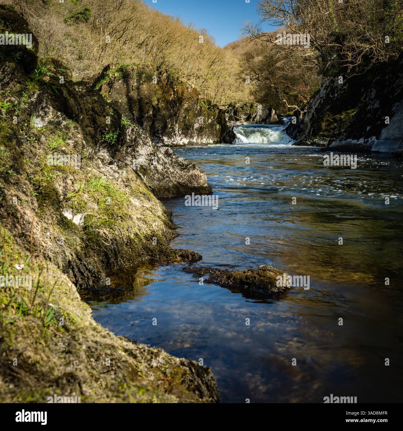 Cenarth falls hi-res stock photography and images - Alamy