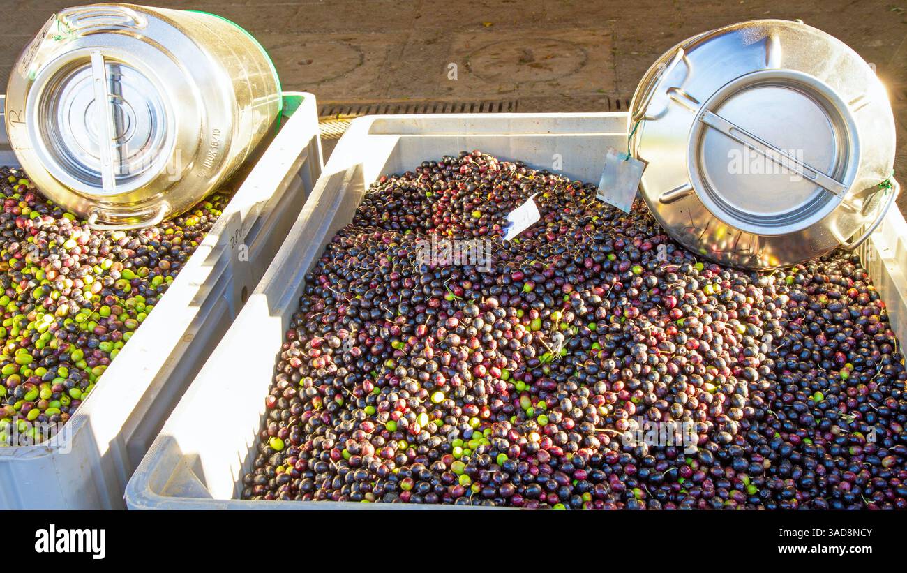 Olives in containers hi-res stock photography and images - Alamy