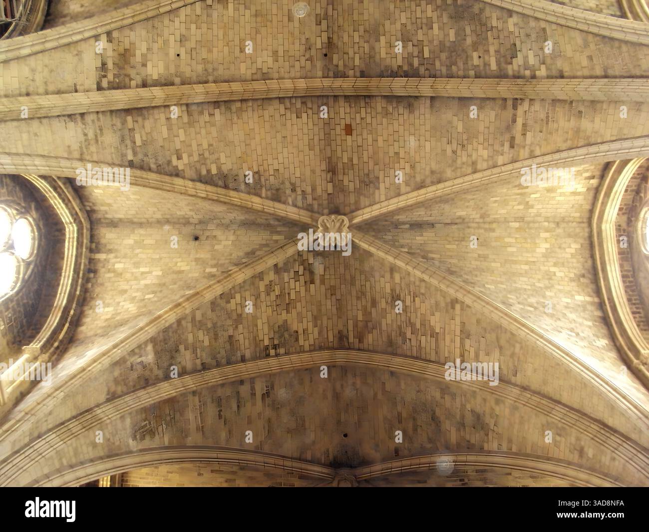 A close-up view of a vaulted ceiling in a historic church, showcasing ...