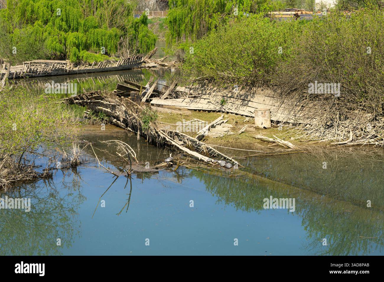 The cemetery of the Burci, typical Venetian merchant boats from the ...