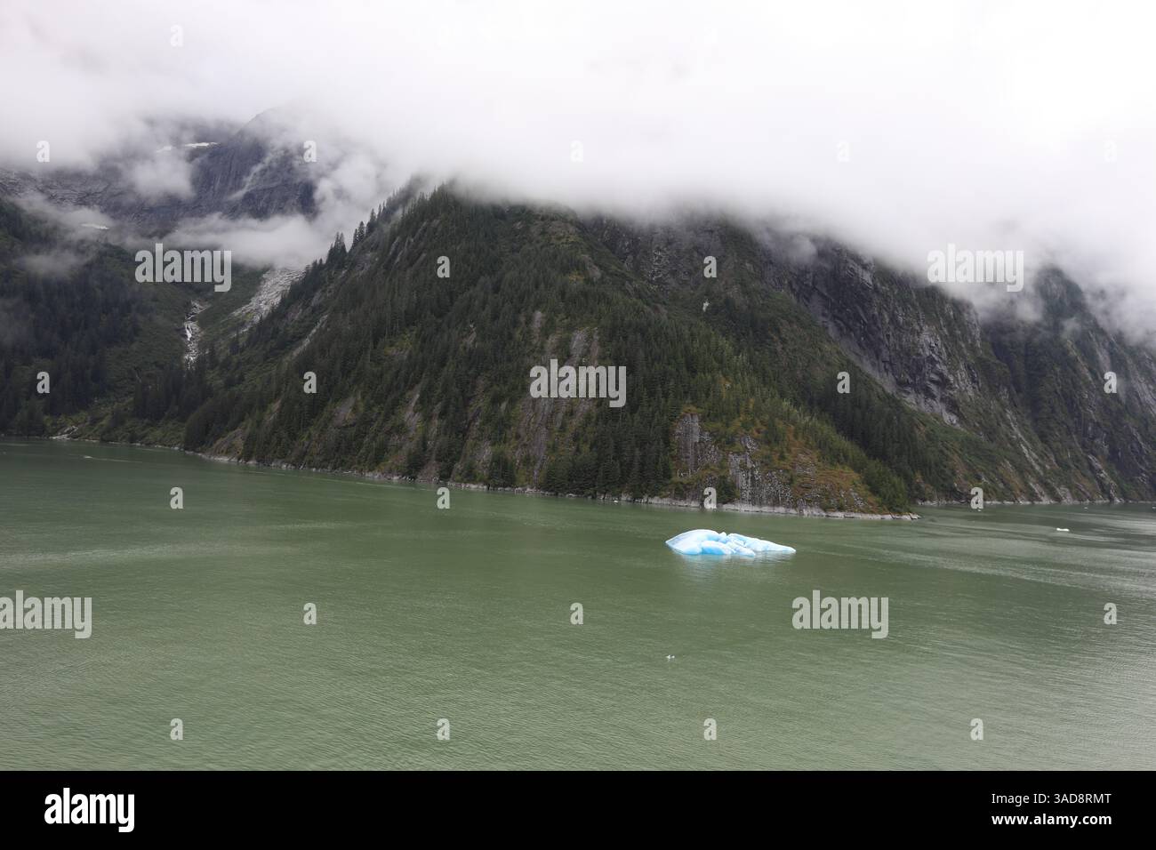 Tracy Arm Fjord Iceberg. Iceberg in Tracy Arm Fjord, Alaska Stock Photo ...