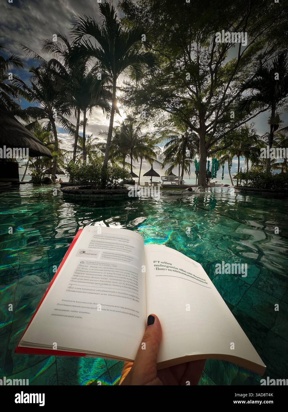 Tropical vacation scene in Mauritius showing a person holding an open ...
