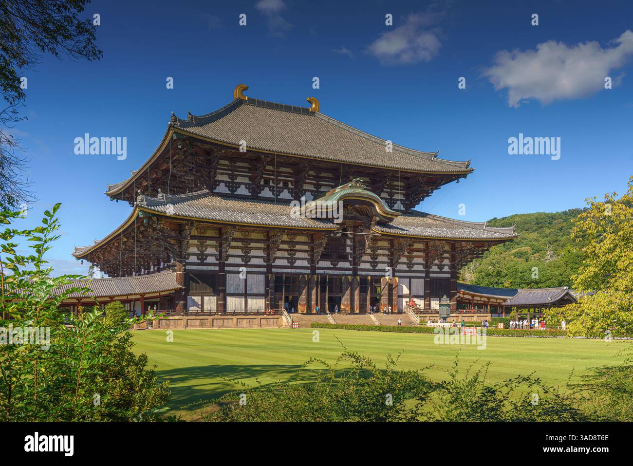 Nara, Japan - Sep 26 2024, Panoramic view of Todaiji Temple with lawn ...