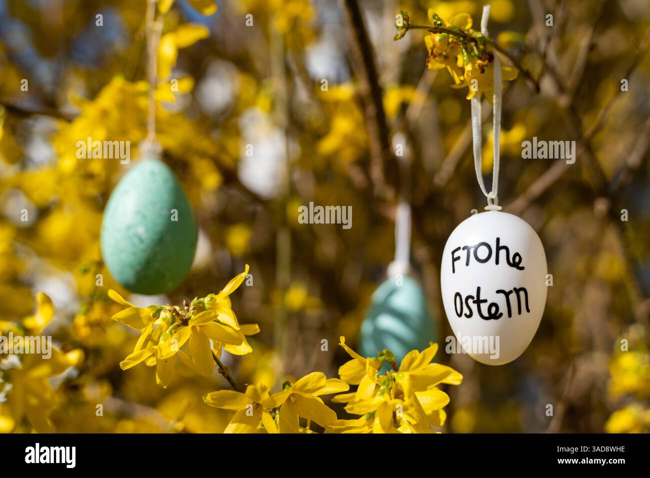 Bavaria, Germany - 5 April 2025: A white Easter egg with the ...