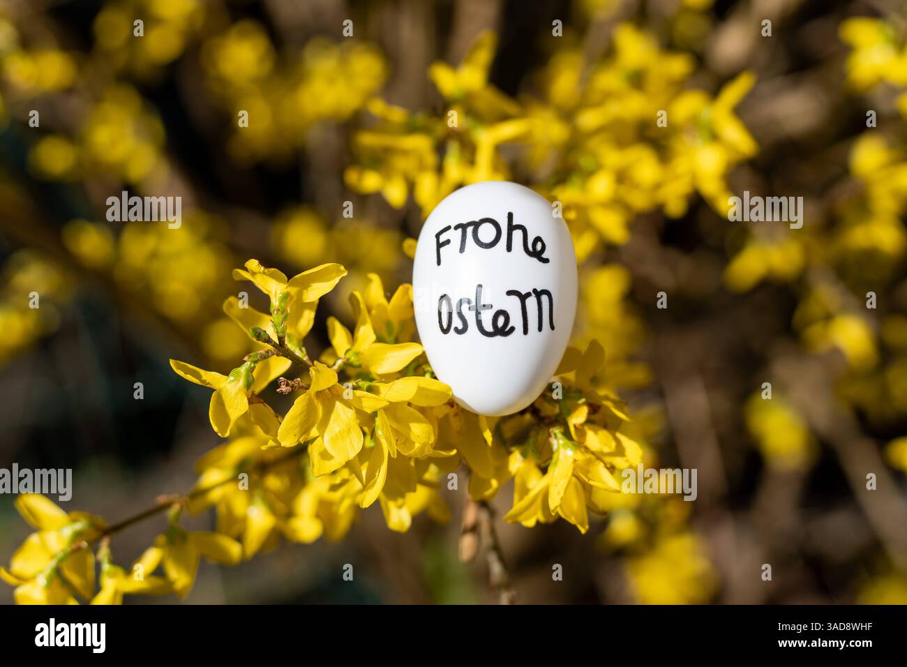 Bavaria, Germany - 5 April 2025: A white Easter egg with the ...