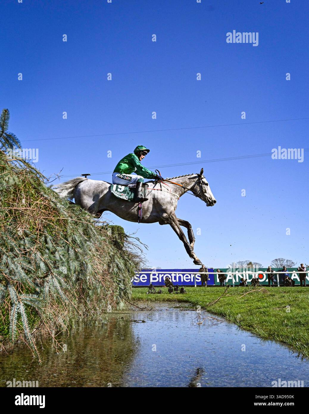 Intense raffles horse racing hi-res stock photography and images - Alamy