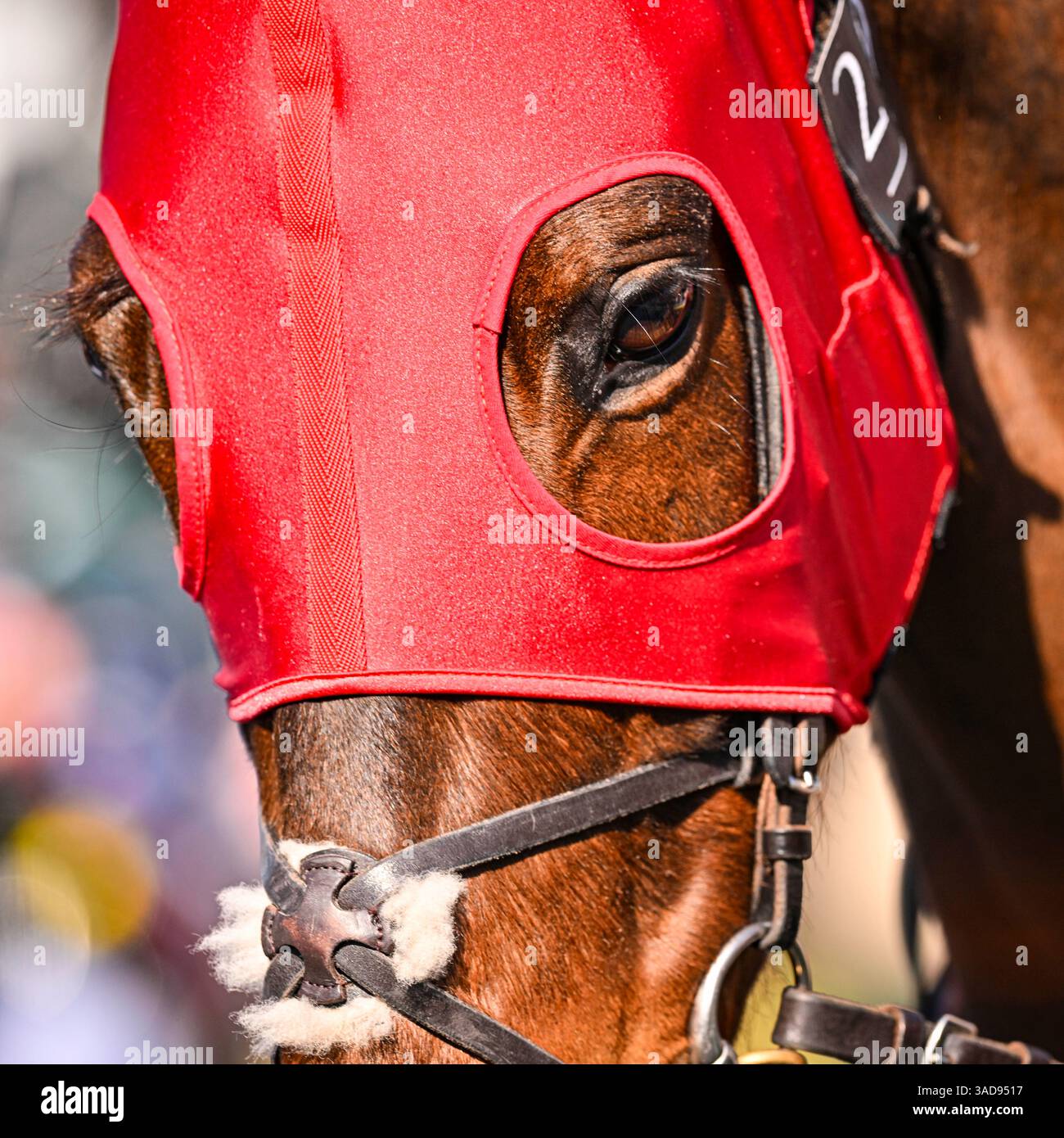 5th April 2025; Aintree Racecourse, Aintree, Merseyside, England: 2025 ...