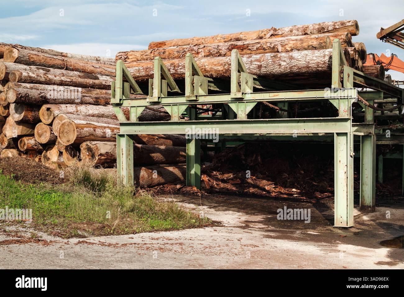 Stacked logs in sorting hi-res stock photography and images - Alamy