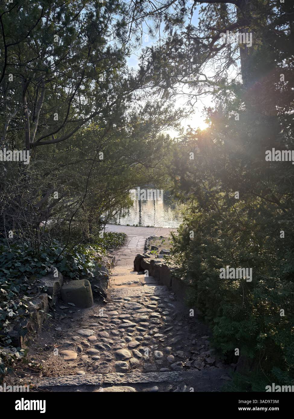 Evoking themes of journey hi-res stock photography and images - Alamy
