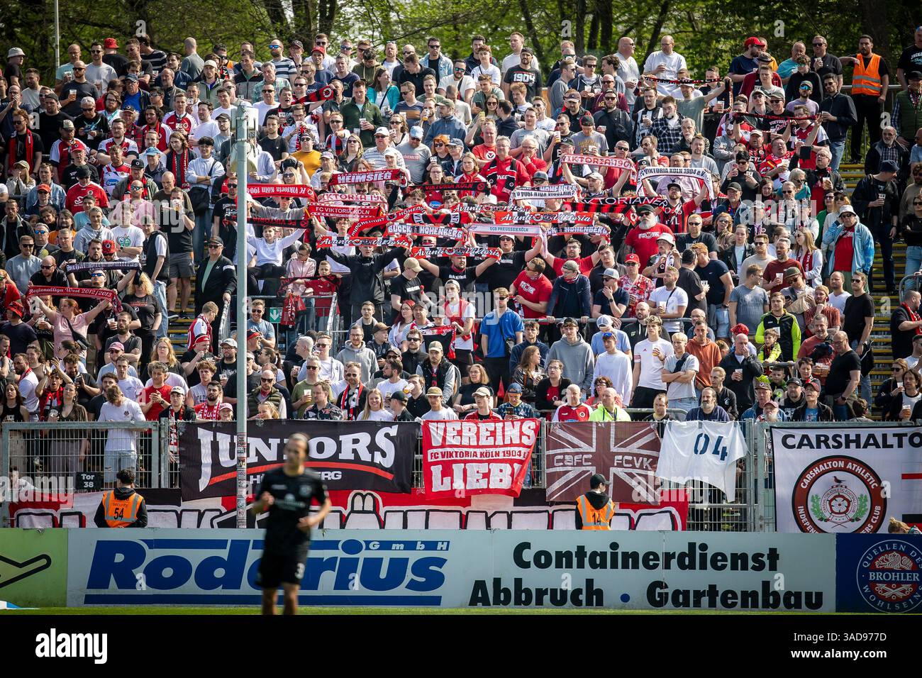 Impressionen: die Fans von FC Viktoria K?ln feiern den Sieg ; K?ln, 05.04.2025 - 31. Spieltag ...