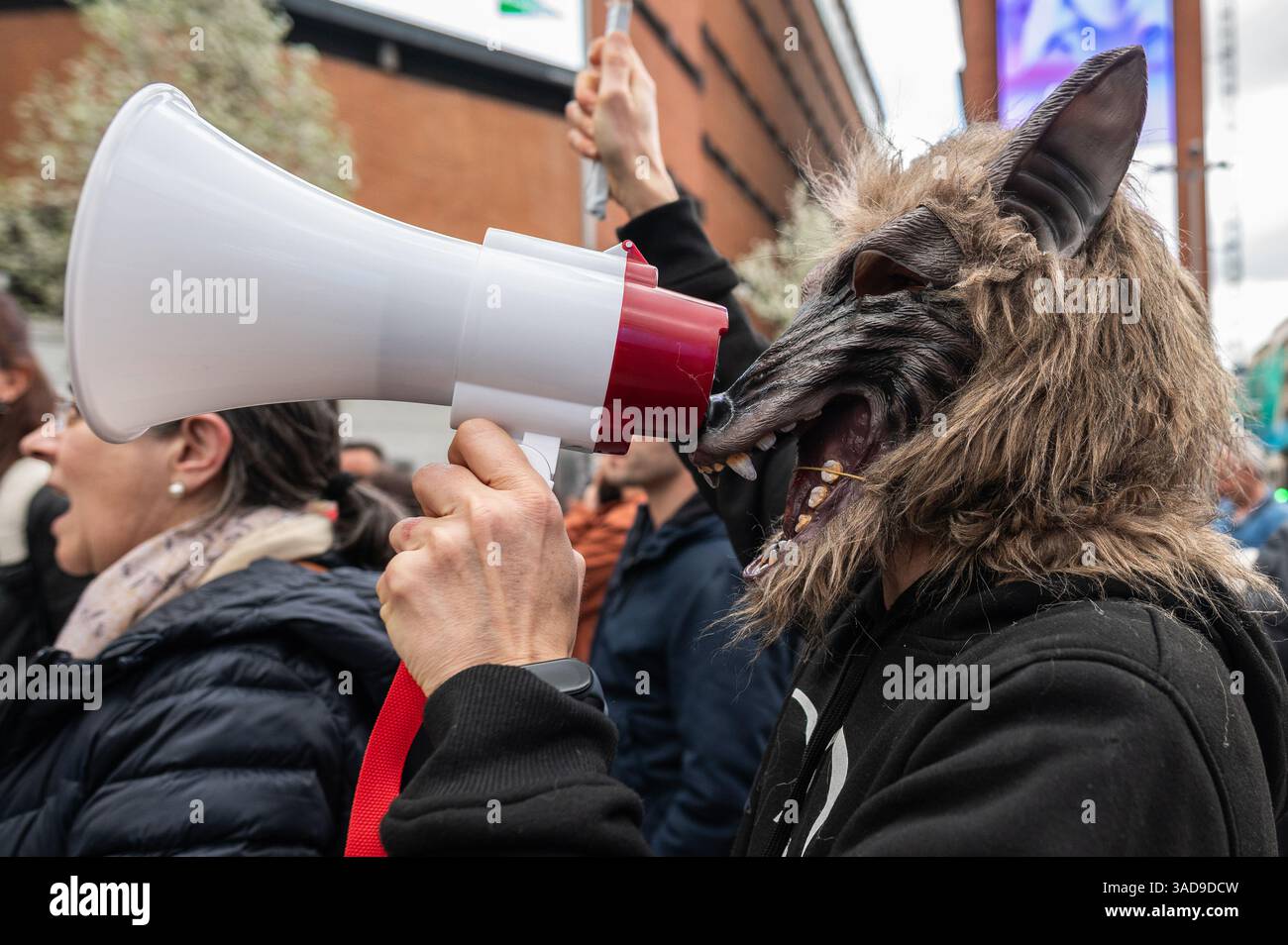 A man wearing a wolf mask protesting against wolf hunting. Animalist ...