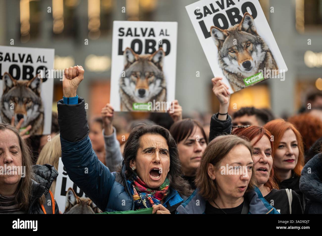 People protesting against wolf hunting. Animalist Party With the ...