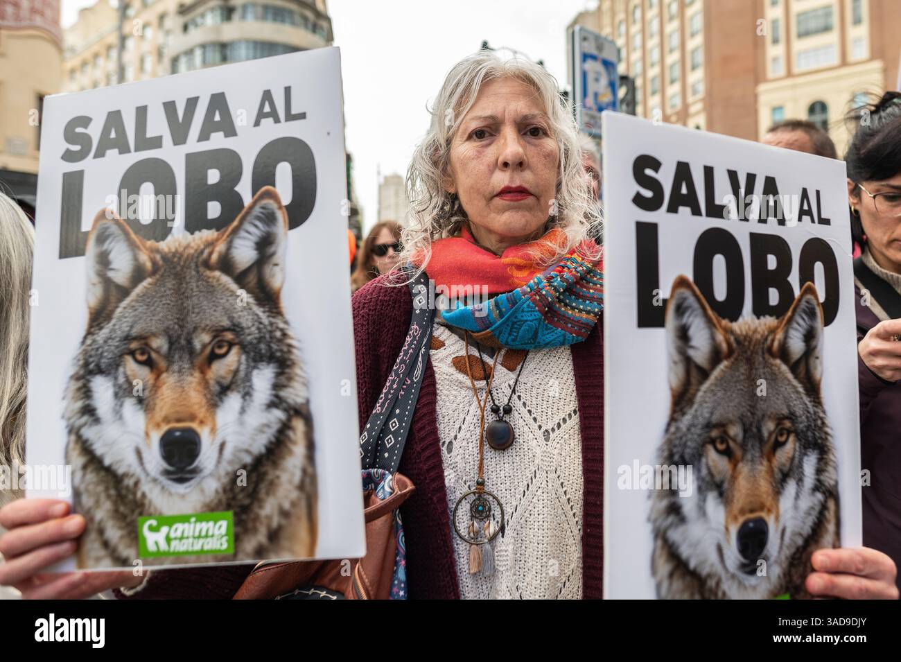 A woman protesting against wolf hunting. Animalist Party With the ...
