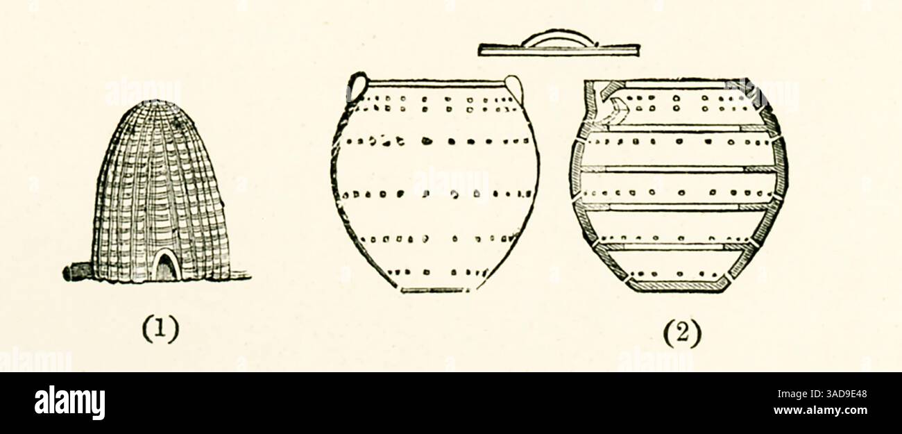 This late 1800s image shows a braided beehive on the left that was ...