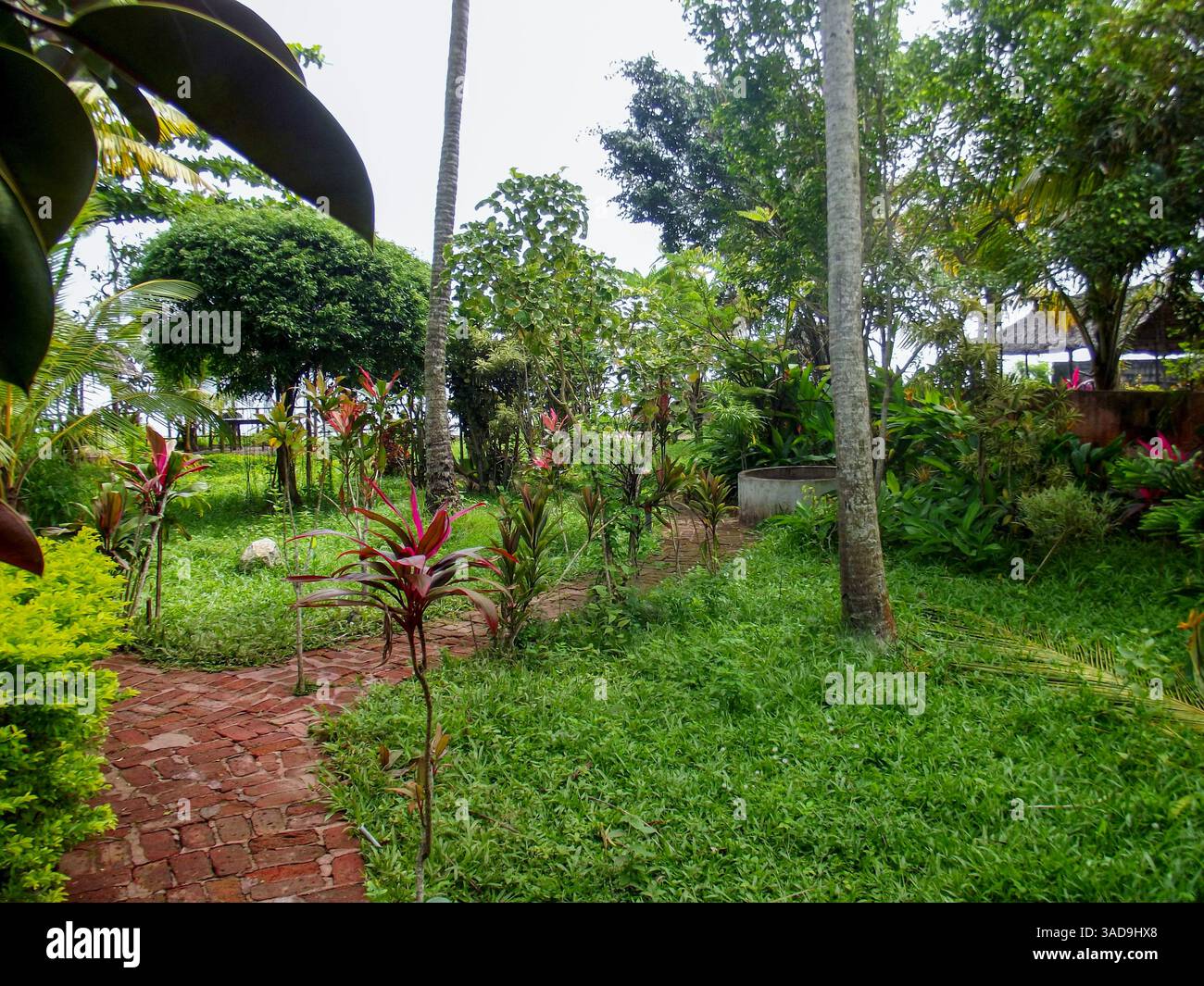 A lush garden featuring a winding brick pathway surrounded by vibrant ...