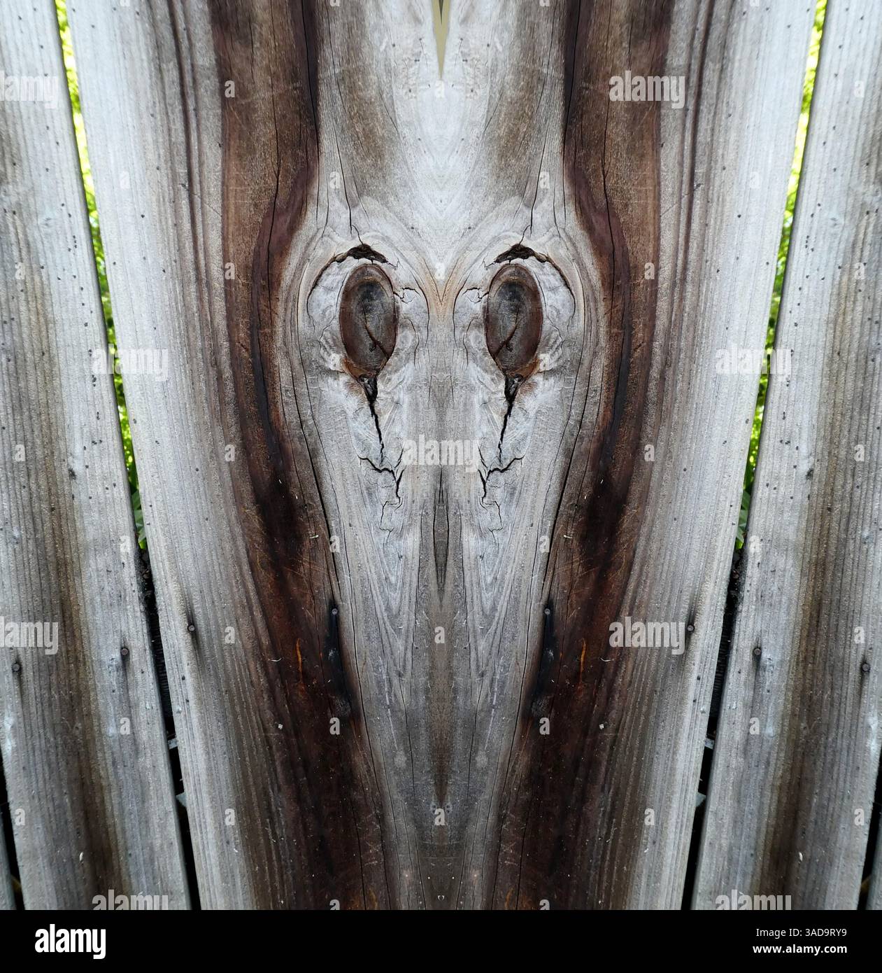 Bilateral symmetry created with mirror images of wood grain and knots ...