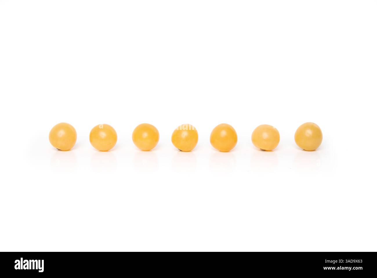 Ripe orange harvest line Cut Out Stock Images & Pictures - Alamy