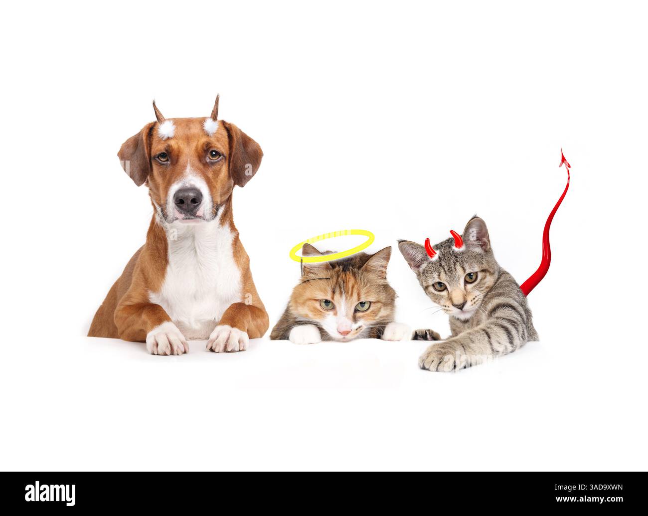 Funny group hi-res stock photography and images - Alamy