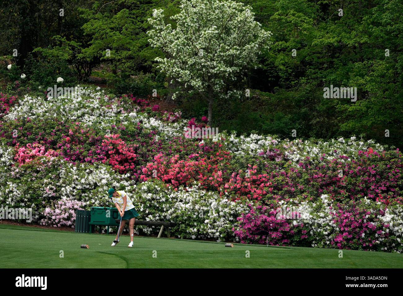 Asterisk Talley hits on the 13th hole during the final round of the ...