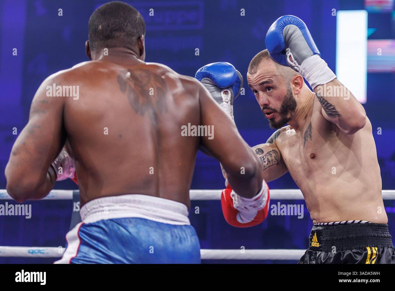 Potsdam, Germany. 05th Apr, 2025. Boxing: Cruiserweight, Xhoxhaj ...