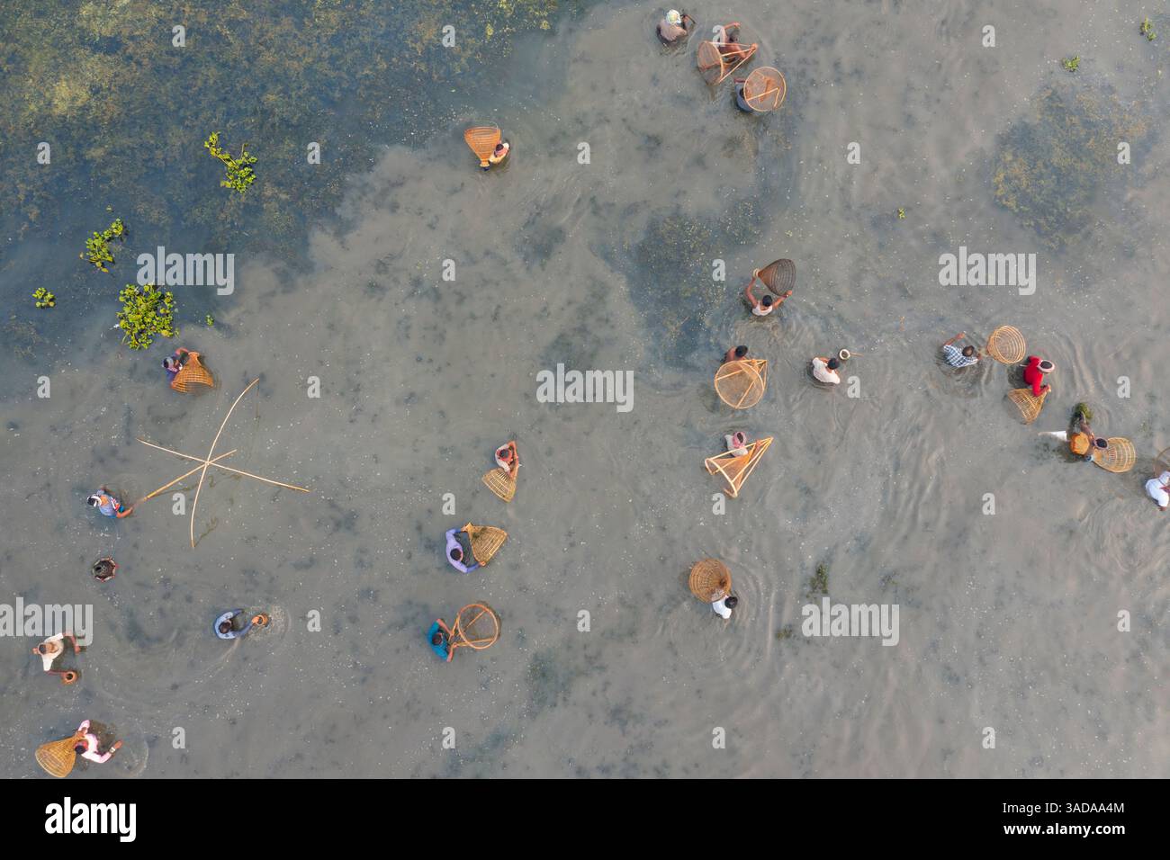 Aerial view of 'Baut Utshav,' a traditional fishing festival in Chalan ...