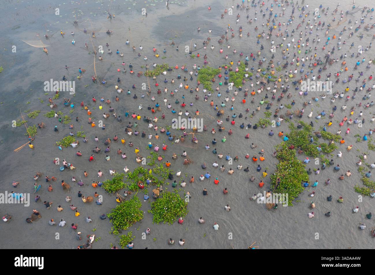 Aerial view of 'Baut Utshav,' a traditional fishing festival in Chalan ...
