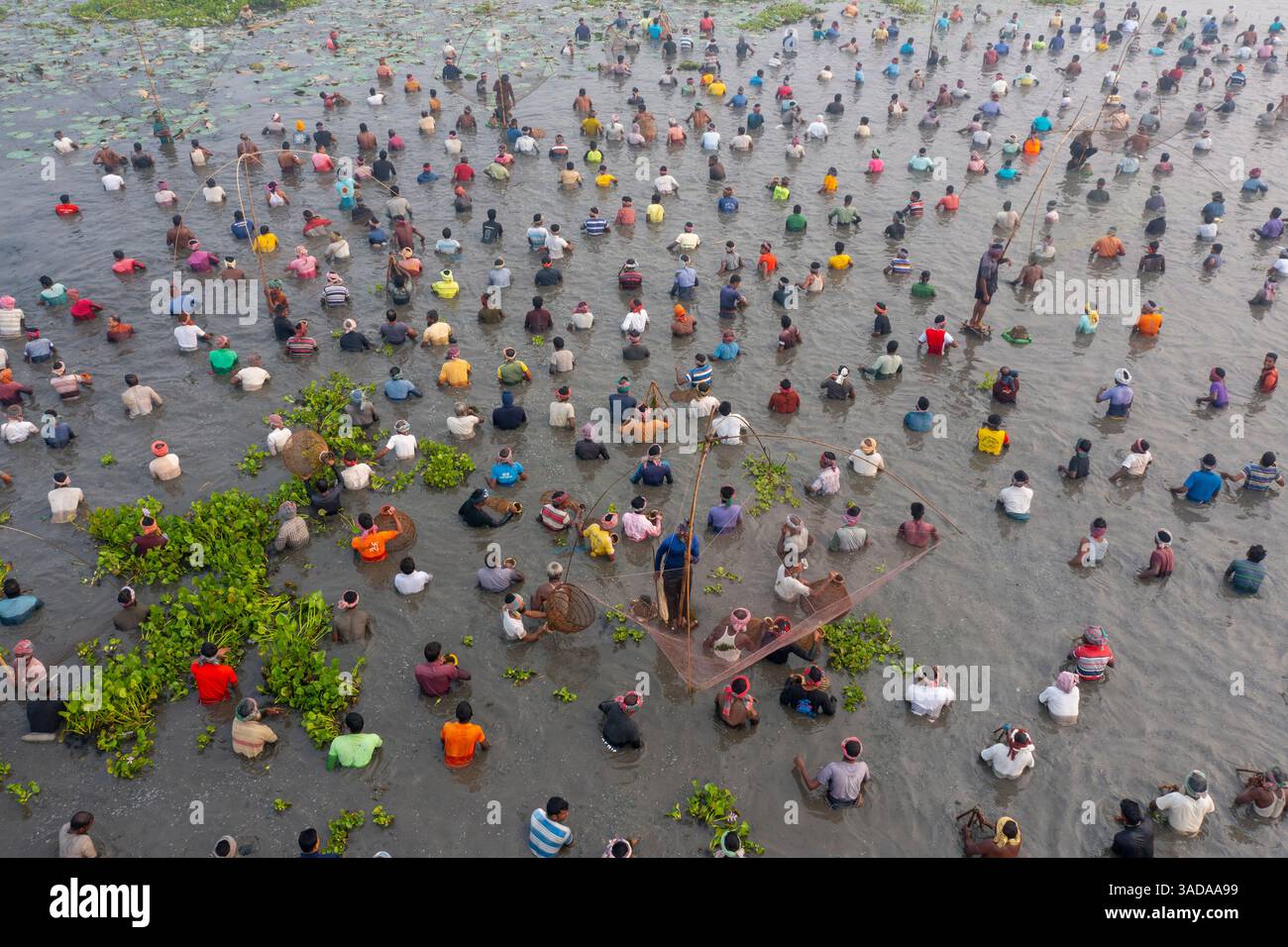 Aerial view of 'Baut Utshav,' a traditional fishing festival in Chalan ...