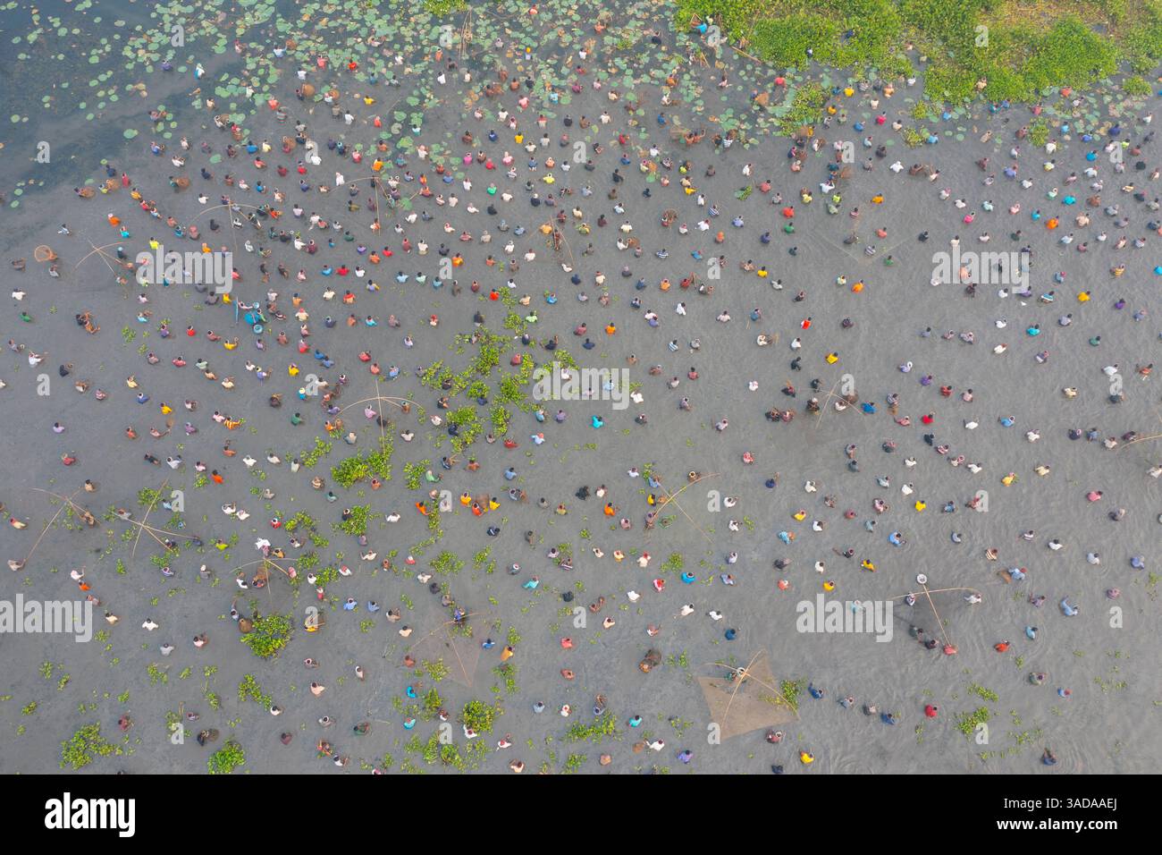 Aerial view of 'Baut Utshav,' a traditional fishing festival in Chalan ...