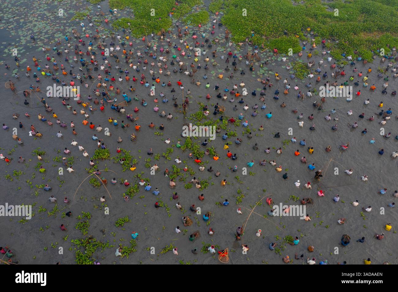 Aerial view of 'Baut Utshav,' a traditional fishing festival in Chalan ...