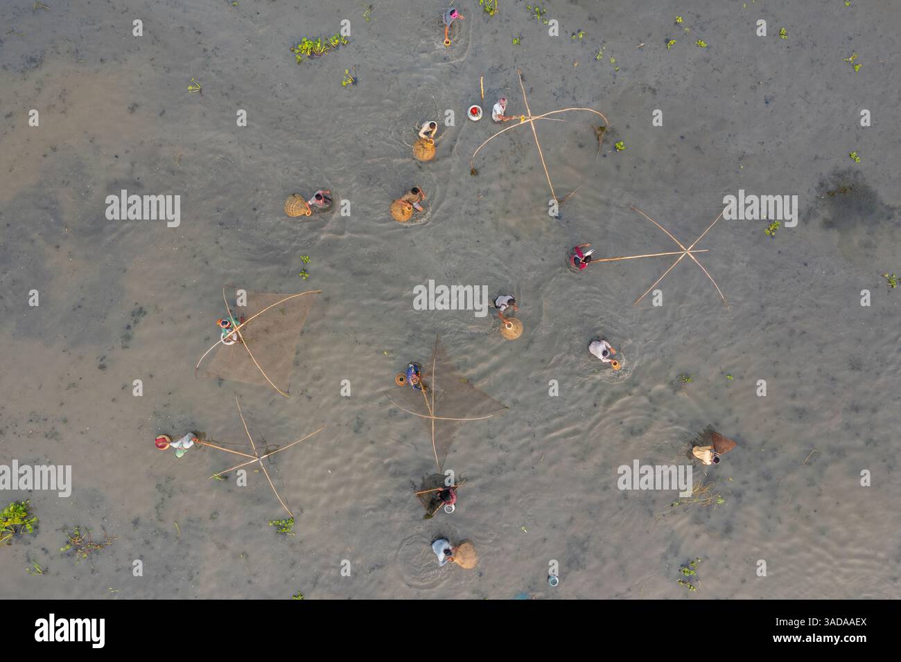 Aerial view of 'Baut Utshav,' a traditional fishing festival in Chalan ...