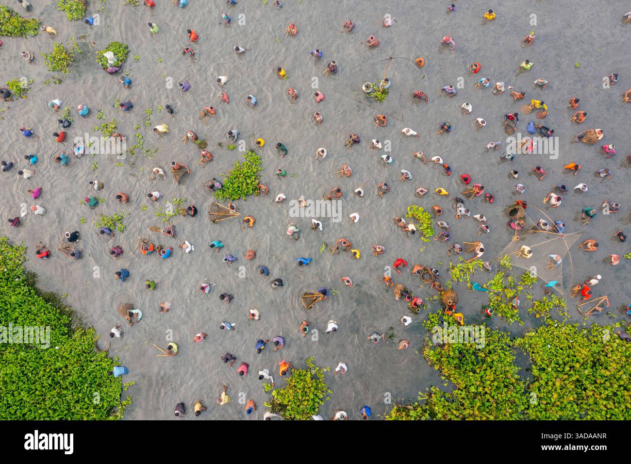 Aerial view of 'Baut Utshav,' a traditional fishing festival in Chalan ...