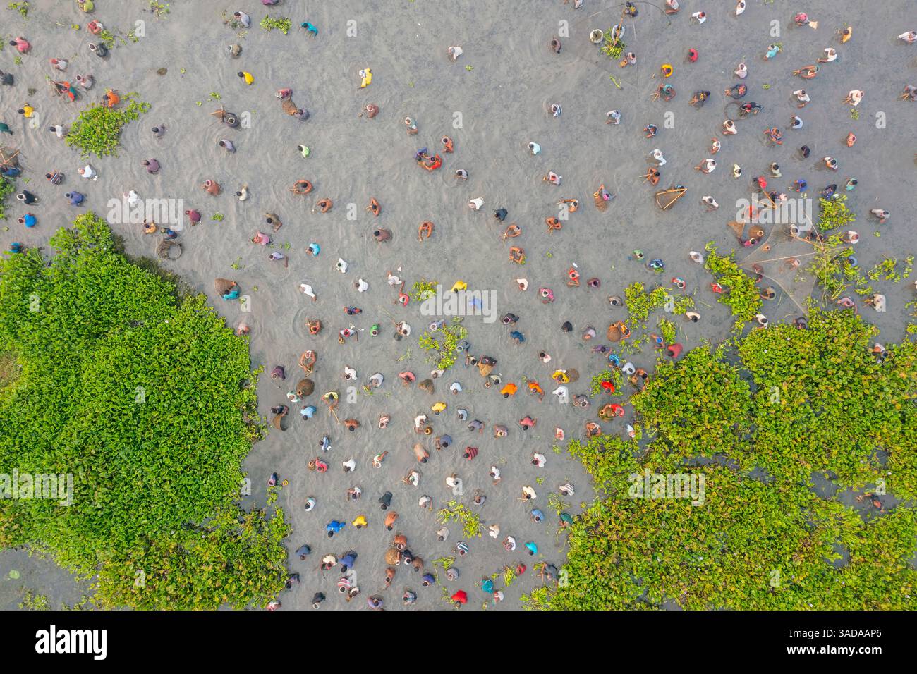 Aerial view of 'Baut Utshav,' a traditional fishing festival in Chalan ...