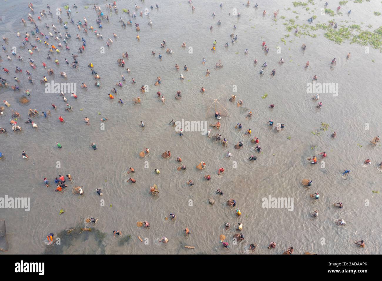 Aerial view of 'Baut Utshav,' a traditional fishing festival in Chalan ...