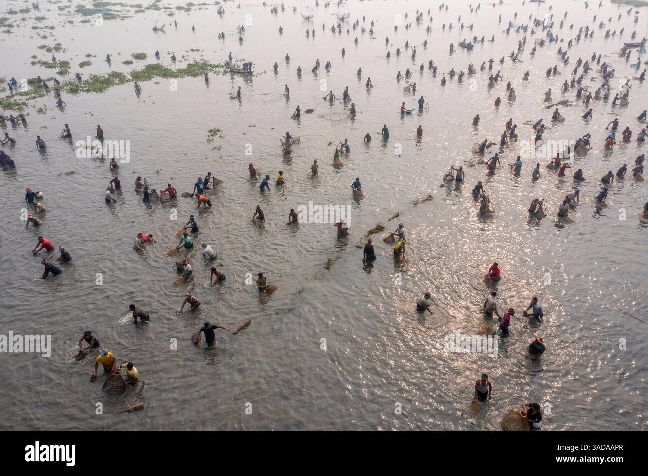 Aerial view of 'Baut Utshav,' a traditional fishing festival in Chalan ...