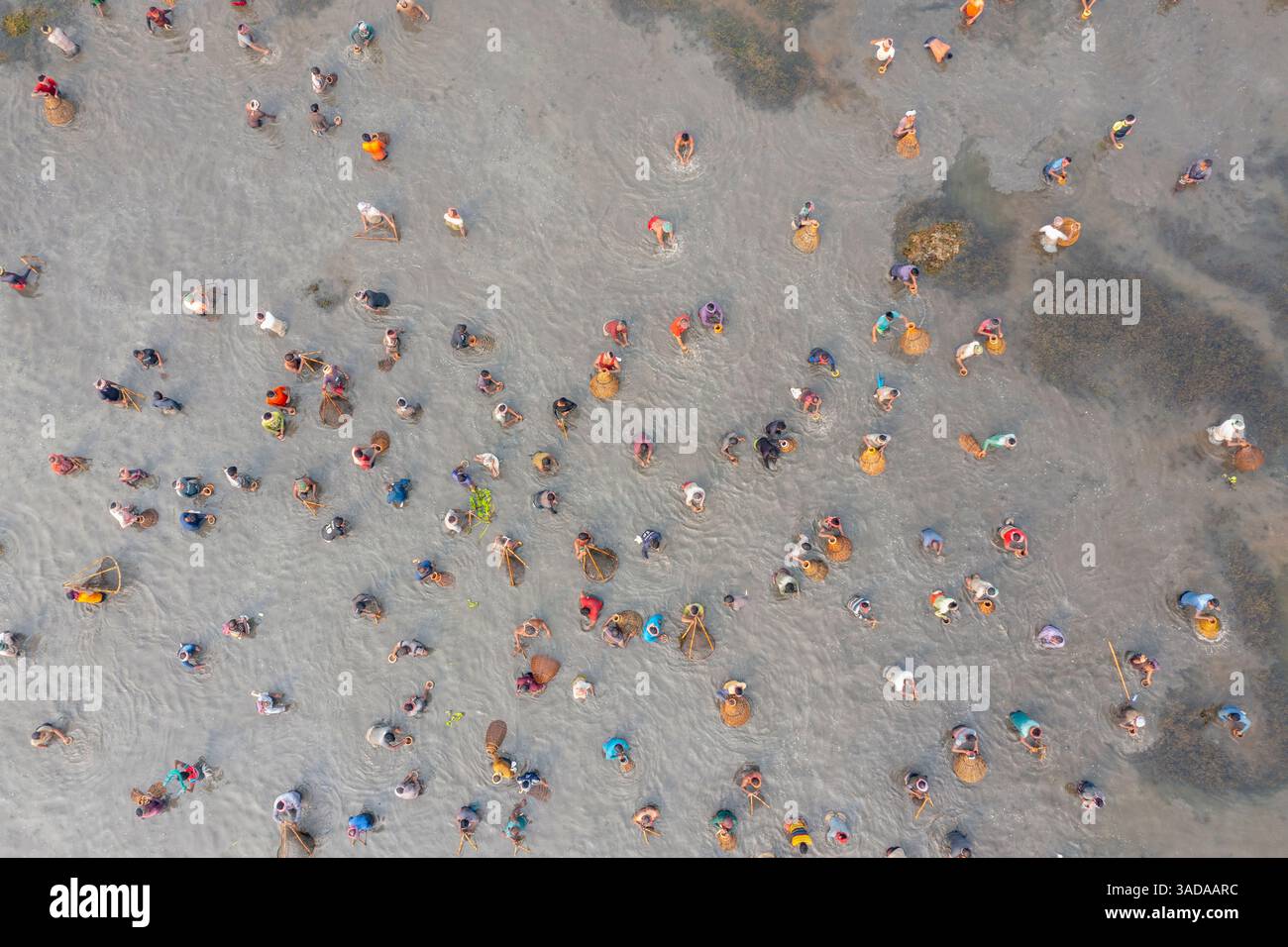 Aerial view of 'Baut Utshav,' a traditional fishing festival in Chalan ...